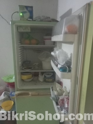 Shacklock Fridge | BikriSohoj