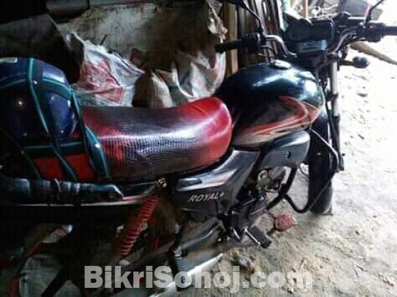 Freedom runner Royal plus | BikriSohoj